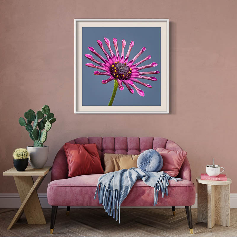 Buy limited edition fine art photography of flowers, animals and birds ...